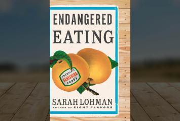 Ancestry of Micajah Stokes Stude and Lucy Agatha Binyon | American ...
