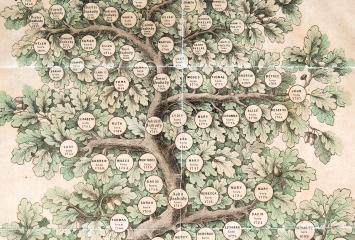 Introducing the 10 Million Names Project | American Ancestors